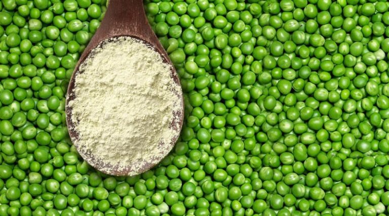 4 facts you should know about Pea Protein - The News Rabbit